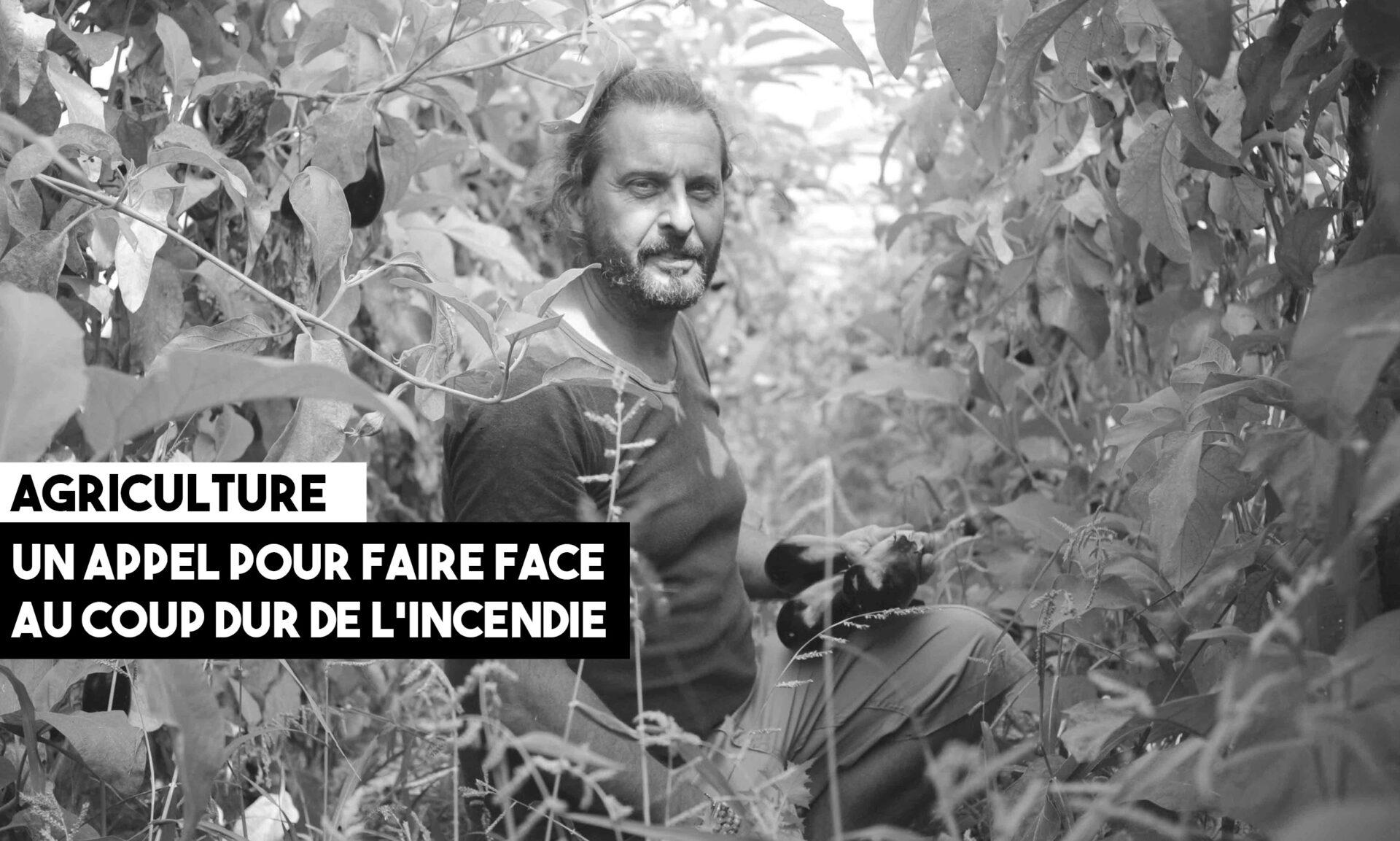 Yannick Perez : Faire face au coup dur de l’incendie des serres | l ...