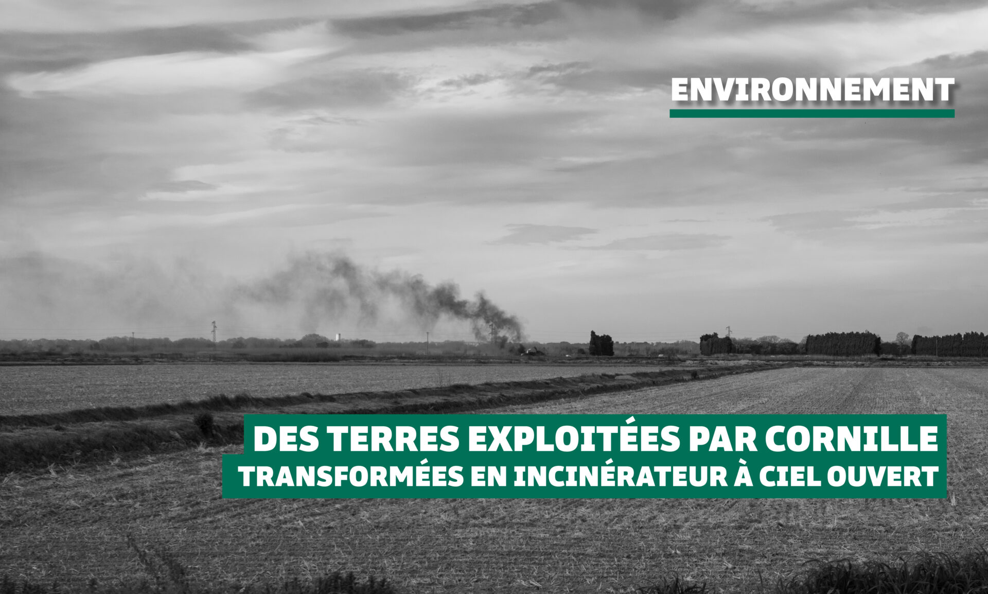 Agriculture : des terres exploitées par Cornille transformées en ...